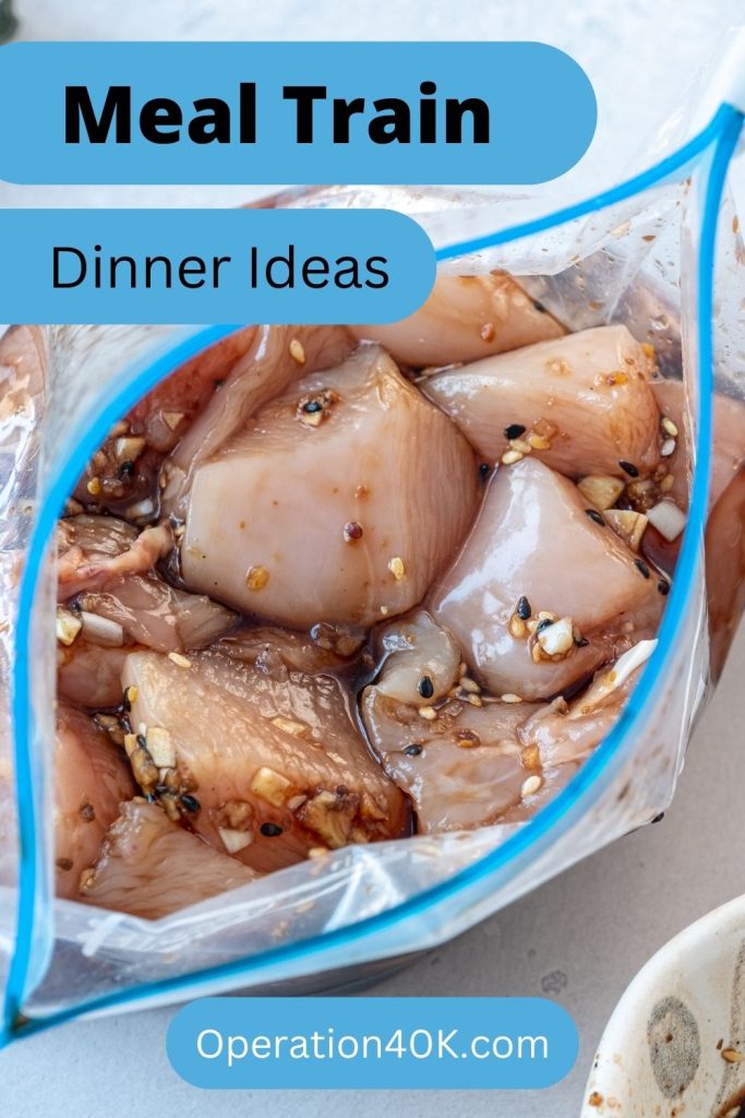 Meal Train Dinner Ideas: Easy and Delicious Recipes for Feeding a Crowd ...