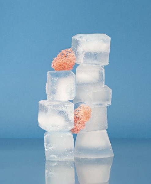 Best Ice Substitute: Top Picks for Keeping Your Food and Drinks Cool ...