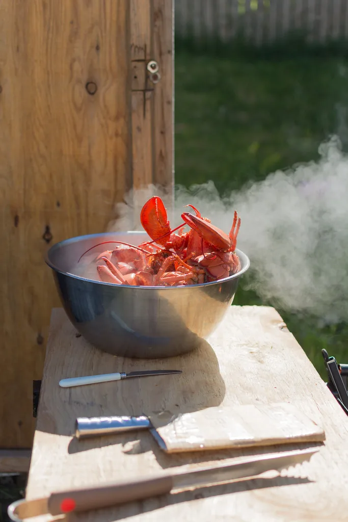 Lobster Dinner Ideas: Elevate Your Seafood Feast with These Recipes ...